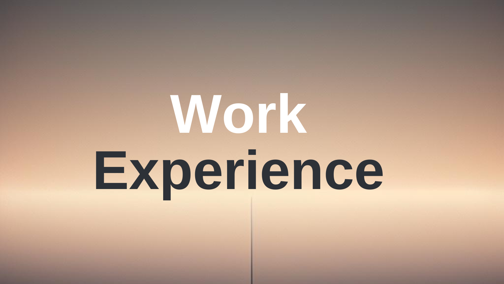 What qualifies as a work experience?